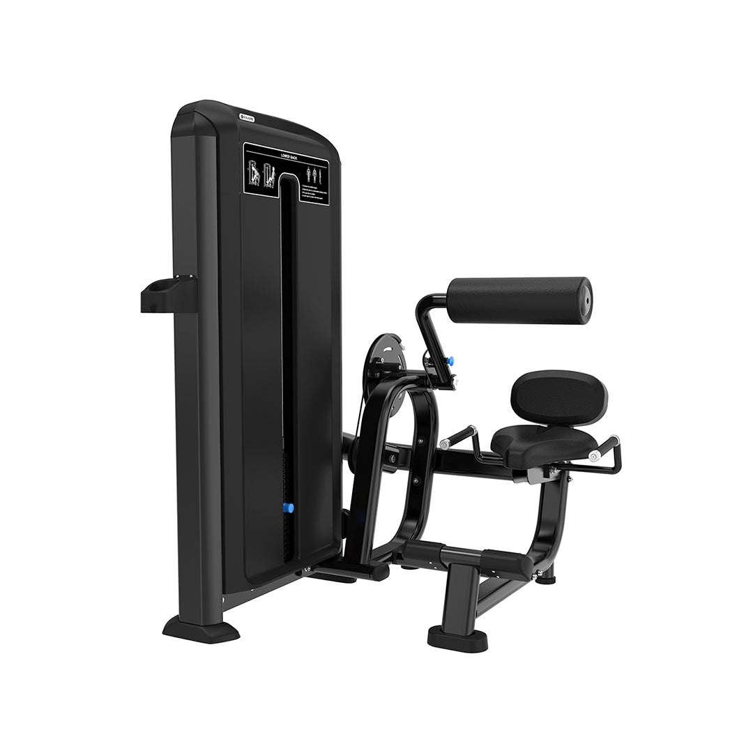 Skelcore Pro Series Back Extension Pin Loaded Machine – Skelcore South ...